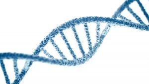 Ladri del DNA: la nostra sicurezza va difesa dai bioterroristi