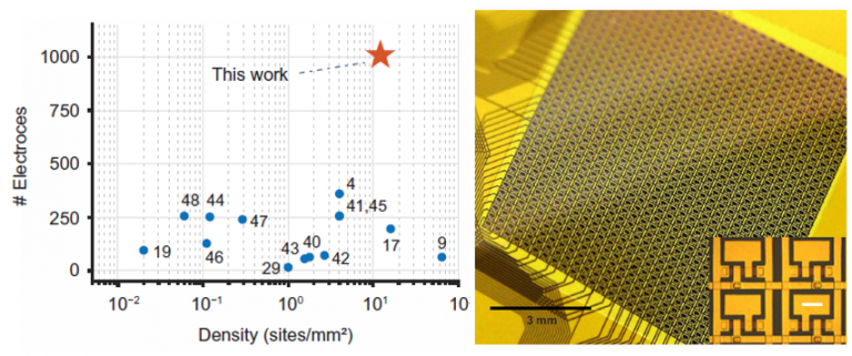Neural Matrix: la nuova interfaccia neurale per lunghe registrazioni ad ...