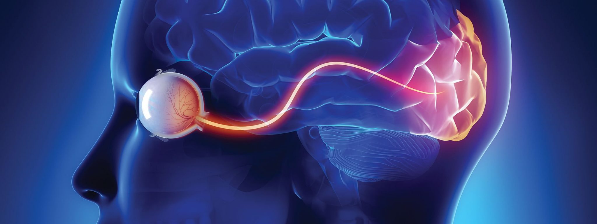 Sistemi Protesici - IngegneriaBiomedica.org
