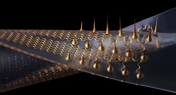 Dalla natura all'innovazione biomedica: microaghi flessibili ispirati ...